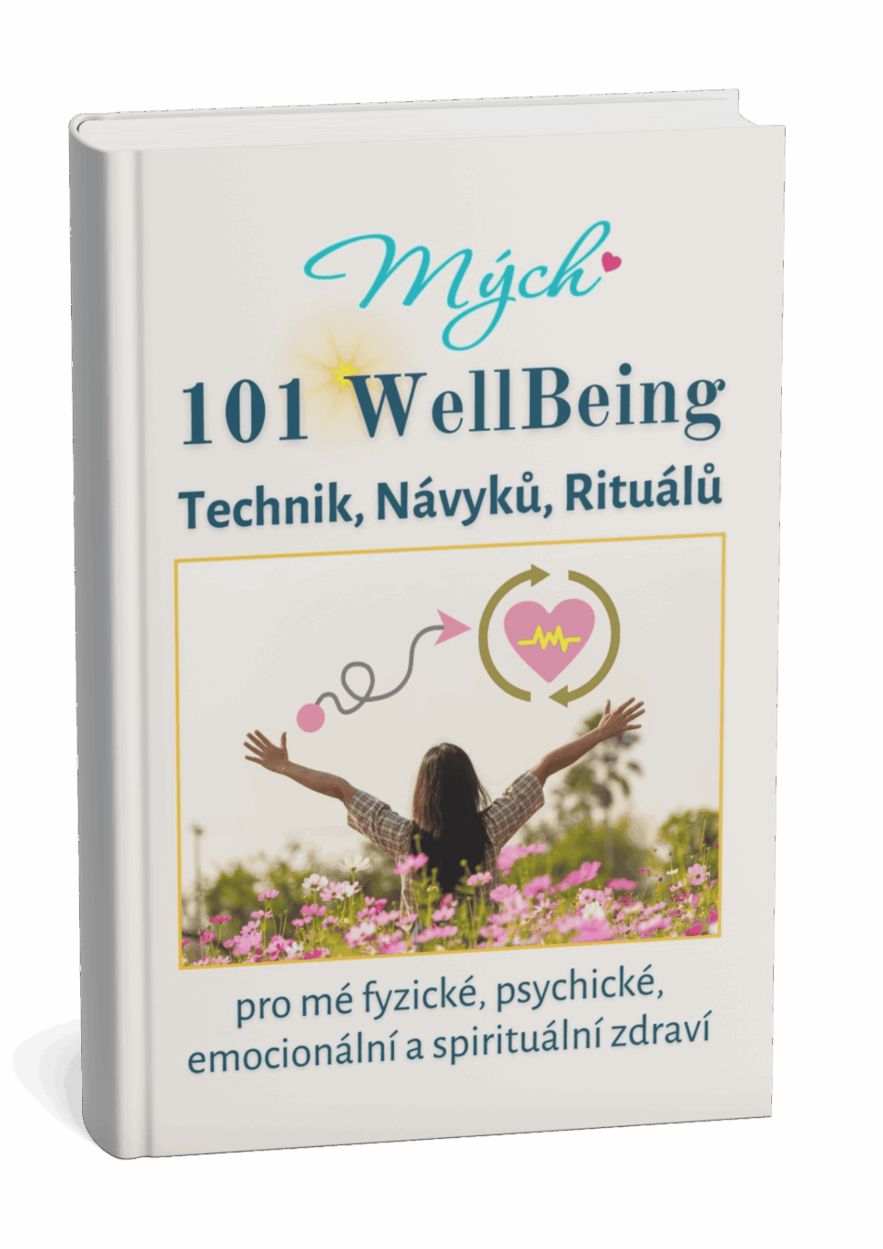 Průvodce k viditelné a trvalé změně – vstup | Wellbeing Academy ...